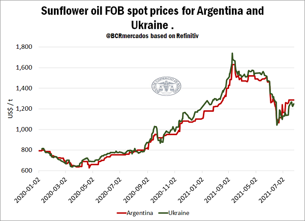 Sunflower: current situation and future outlook | Bolsa de Comercio de ...